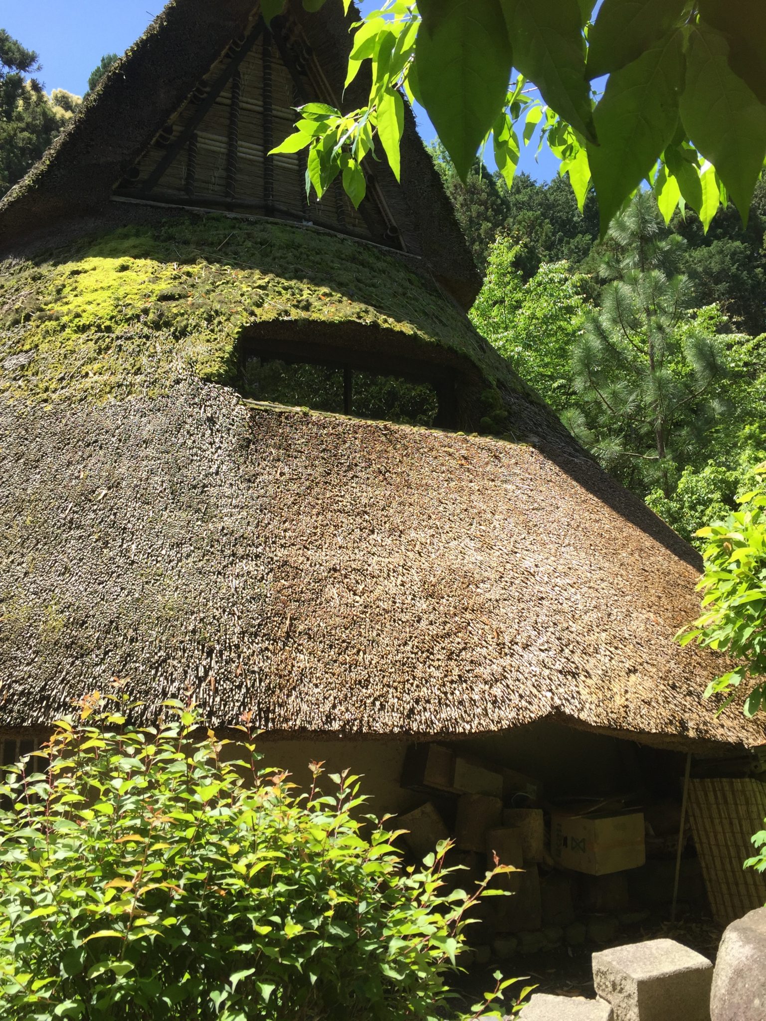 About Matama – 縄文またま（Jomon Matama）